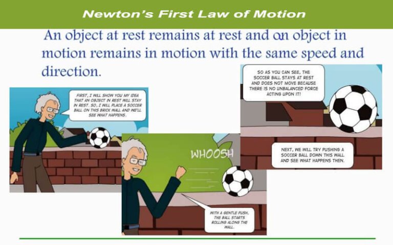 Newton's Laws of Motion and its Applications in Real Life