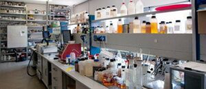 Proper Storage of Chemicals in the Laboratory | Labtex