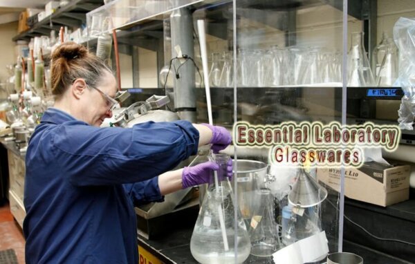 How to Properly Store Glassware in the Laboratory | Labtex